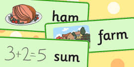 Final 'S' Sound Word Cards (teacher made) - Twinkl