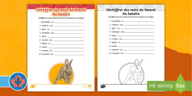 Chinese New Year Fact Cards English/French (teacher made)