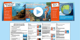 World Oceans Day Resources Bumper Pack (teacher made)