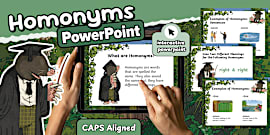 Homonyms (PowerPoint)