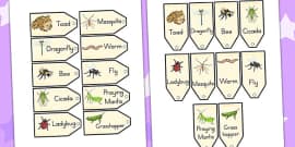 Minibeasts Investigation Lab Badges (teacher made) - Twinkl