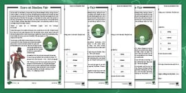Year 4 Reading Comprehension Workbook PDF - Primary Resource