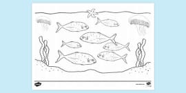 FREE! - Angler Fish Colouring Sheet (Teacher-Made) - Twinkl