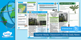 Deforestation Case Study | Grade 6 Geography Worksheet