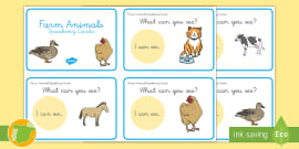 B1 Tarjetas de vocabulario: Hablar de animales en inglés