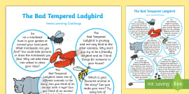 Book Review Writing Frame to Support Teaching on The Bad Tempered Ladybird