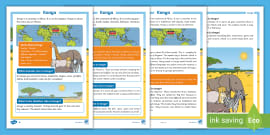 KS1 All About Giraffes Differentiated Reading Comprehension