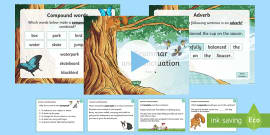 Year 4 Grammar, Punctuation & Spelling Worksheet Pack