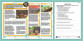 KS1 All About Japan Differentiated Reading Comprehension Activity