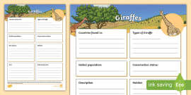 Giraffe Template Fact File,giraffe,giraffes (Teacher-Made)
