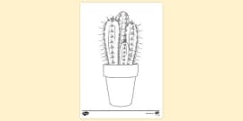 FREE! - Pear Tree Colouring Sheet – Colouring Pages – Twinkl