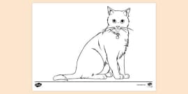 Ginger Cat Outline Colouring Sheet | Twinkl Resources