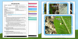 EYFS Minibeast Movement Activity Adult Input Planning Pack