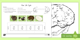 Māori Art Animals | Art Activity | NZ Primary Resource
