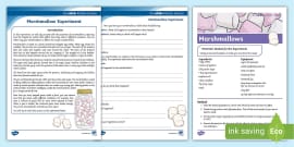 Mystery of the Marshmallow Muncher (teacher made) - Twinkl