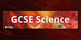 Year 8 Science Banner | Display Resources | Beyond - Twinkl