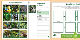 Food Chain Game | Food Chain Cards and Pictures Sorting Game
