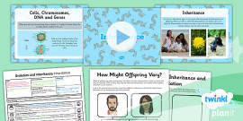 FREE! - Changes Lowercase Display Lettering-changes, lowercase, display