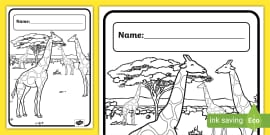 FREE! - Starling Bird Colouring Book Cover - Twinkl