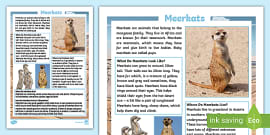 What is a Fact File? - Answered - Twinkl Teaching Wiki