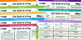 EYFS Life Cycle Lesson Plan Ideas (teacher made) - Twinkl