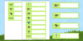 Editable Drawer - Peg - Name Labels (Minibeasts) - Minibeast