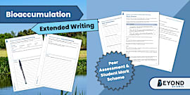 Bioaccumulation Worksheet | Science | Beyond Secondary