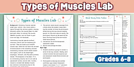 Muscular System Reading Passage Activity