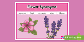 Interaction Synonyms Word Mat (Lehrer gemacht) - Twinkl