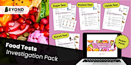 Biology Food Tests GCSE Worksheet | Science | Beyond