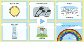 FREE! - French Weather Display Posters (teacher made)