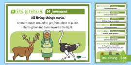 Characteristics of Living Things - Mrs Nerg Poster - Twinkl