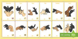 Shadow Puppets Lesson Plan - Shadow Puppets KS2 Science