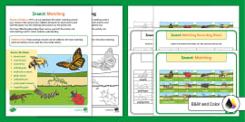 Juneteenth Sensory Bin Matching Activity Mats (Teacher-Made)