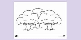 Sycamore Tree Colouring Sheet | Tree Colouring Pages | KS1