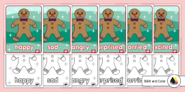 Snowman Emotions Posters (teacher made) - Twinkl