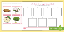 Strawberry Life Cycle Word Mat - strawberries, strawberry