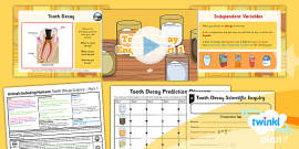 Human Teeth Cut and Stick Matching Worksheet / Worksheet - Human Teeth Cut