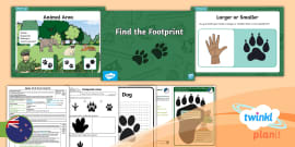 Level 1 Length: Compare the Length of Two Objects Lesson 2