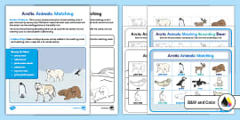 Juneteenth Sensory Bin Matching Activity Mats - Twinkl