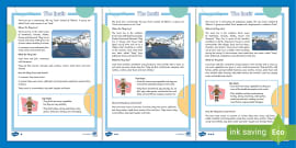 KS1 The Inuit People Differentiated Reading Comprehension Activity