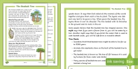 Blank Tree Fact File (teacher made) - Twinkl