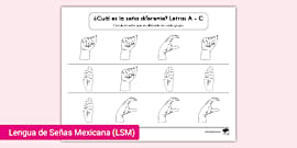 Números en LSM (teacher made) - Twinkl