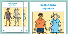 Split Pin Bodies (teacher made) - Twinkl