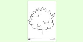 Walnut Page Border | Page Borders | Twinkl