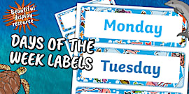 Farm Themed Days of the Week Classroom Display