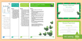 Amazon Rainforest and more - Plants in the Rainforest