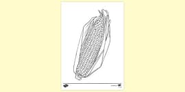 FREE! - Maya Maize Farming Colouring Sheet | Twinkl - Twinkl