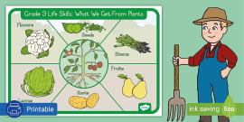 Planting and Growing - Plants We Eat Powerpoint - Twinkl