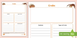 Hermit Crabs Fact File Template, Hermit crabs - Twinkl